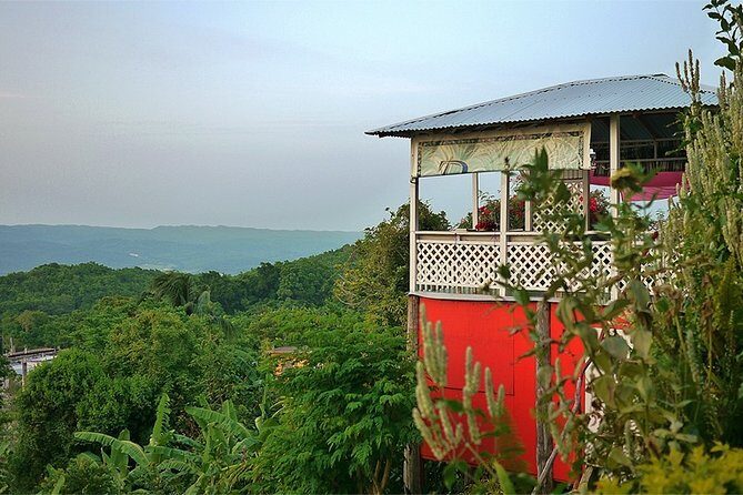 Ahhh Ras Natango Gallery and Garden Private Transfer - Practical Details: Transportation, Duration, and Cost