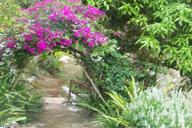 Ahhh Ras Natango Gallery and Garden Private Transfer - FAQ