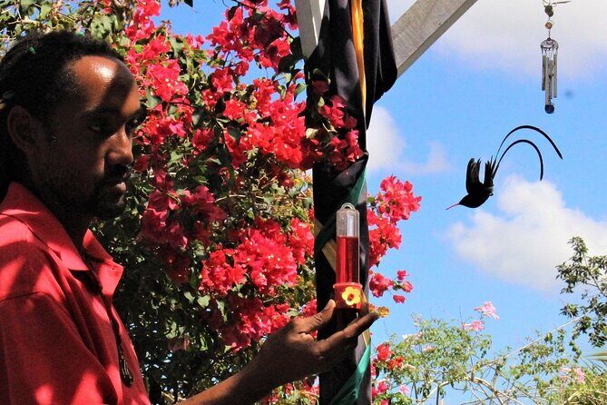 Ahhh Rasnatango Gallery and Garden - FAQ