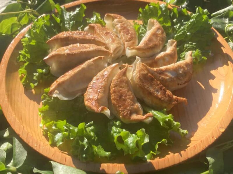 Aichi: Atsumi Peninsula, A Satoyama Cooking Experience - Introduction