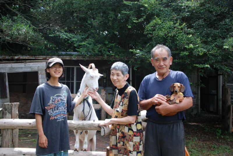Aichi: Regenerative Farm Stay with Lunch at Doronko Village - Setting the Scene: A Slice of Rural Japan