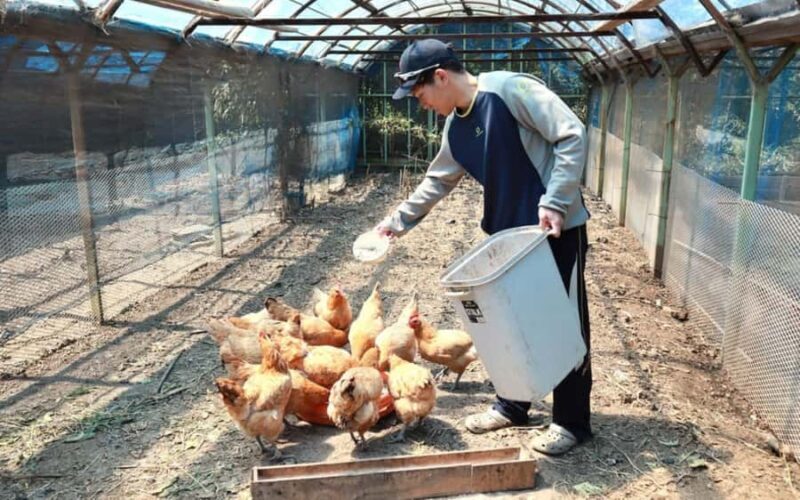 Aichi: Regenerative Farm Stay with Lunch at Doronko Village - The Food: A Home-Cooked Japanese Meal