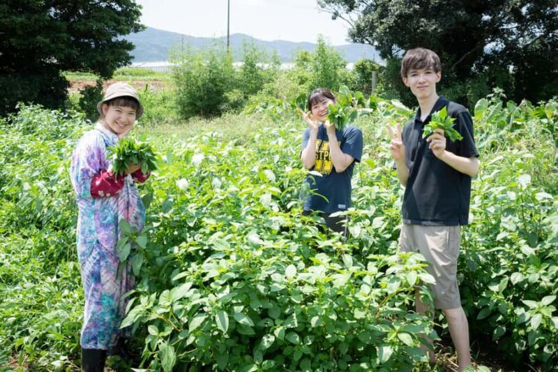Aichi: Regenerative Farm Stay with Lunch at Doronko Village - Practical Details: Booking, Price, and Accessibility