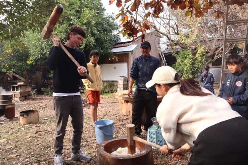 Aichi: Traditional Mochi-Pounding Experience at a Local Farm - Key Points