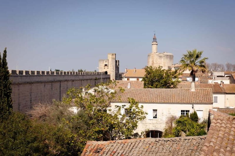 Aigues-Mortes: Private Guided Tour of city + Constance Tower - Who Would Love This Tour?