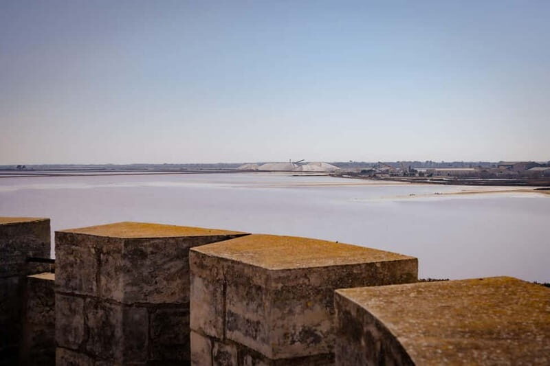 Aigues-Mortes: Private Guided Tour of city + Constance Tower - The Sum Up