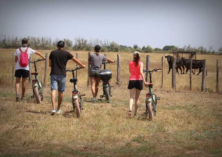 Aigues Mortes: safari en vélo - Ebike tour in Camargue - Experience Breakdown: What to Expect on the Tour
