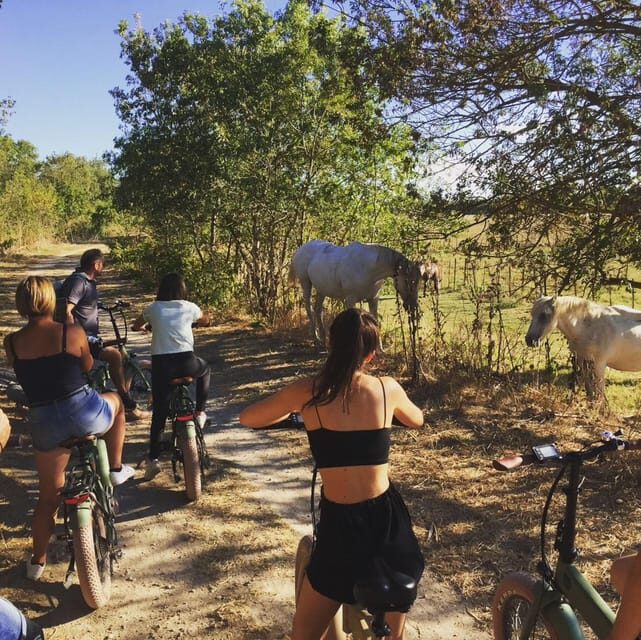 Aigues Mortes: safari en vélo - Ebike tour in Camargue - The Scenery and Wildlife: A Visual Feast
