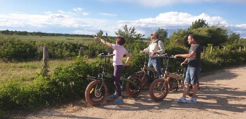 Aigues Mortes: safari en vélo - Ebike tour in Camargue - Who Will Love This Tour?