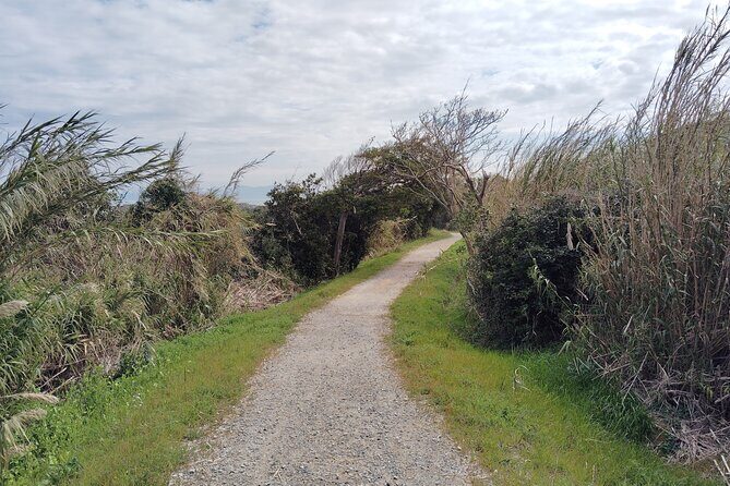 Ainoshima Island Cats Culture and Scenic Beauty Tour - FAQ