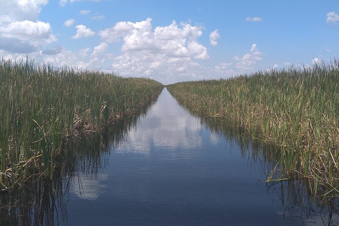Air Boat Tour of Palm Beach in The Swamp Monster - The Wildlife and Scenic Highlights