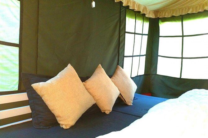 Air-cooled camp and rafting in Rishikesh (2n3d) - Authentic Feedback from Participants