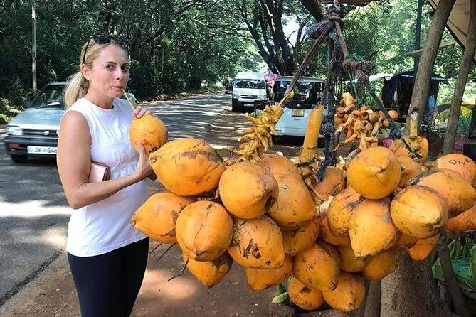 Air port Pick up and Drop to Kandy - A Practical Review of the Kandy to Colombo Airport Private Transfer