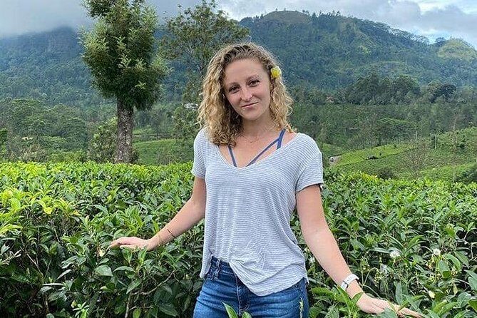 Air port Pick up and Drop to Kandy - Who Will Benefit Most?