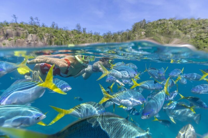 Airlie Beach: Adults-Only Whitehaven Beach Sailing Tour - Who Will Love This Tour?