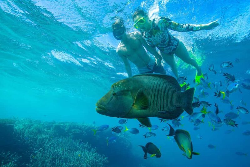 Airlie Beach: Adults-Only Whitehaven Beach Sailing Tour - FAQ