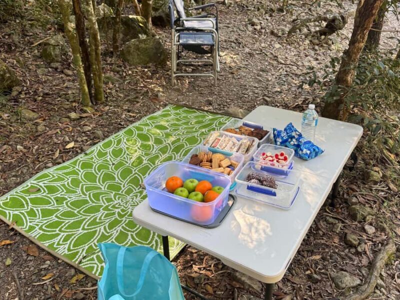 Airlie Beach: Cedar Creek Express Eco Tour - Final Summary