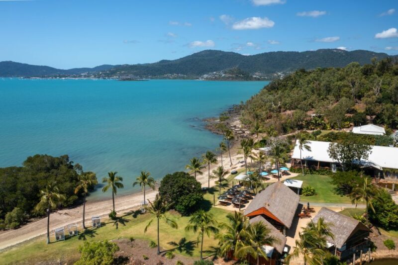 Airlie Beach: Cedar Creek Falls & Northerlies Beach Day Trip - What Reviewers Say