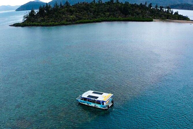 Airlie Beach Glass Bottom Boat Guided Night Tour - Overview of the Experience