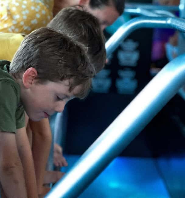 Airlie Beach: Glass-Bottom Boat Night Tour - What to Expect on the Tour