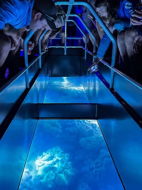 Airlie Beach: Glass-Bottom Boat Night Tour - The Itinerary in Detail