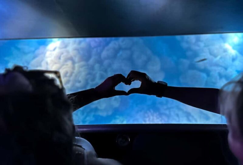 Airlie Beach: Glass-Bottom Boat Night Tour - The Sum Up