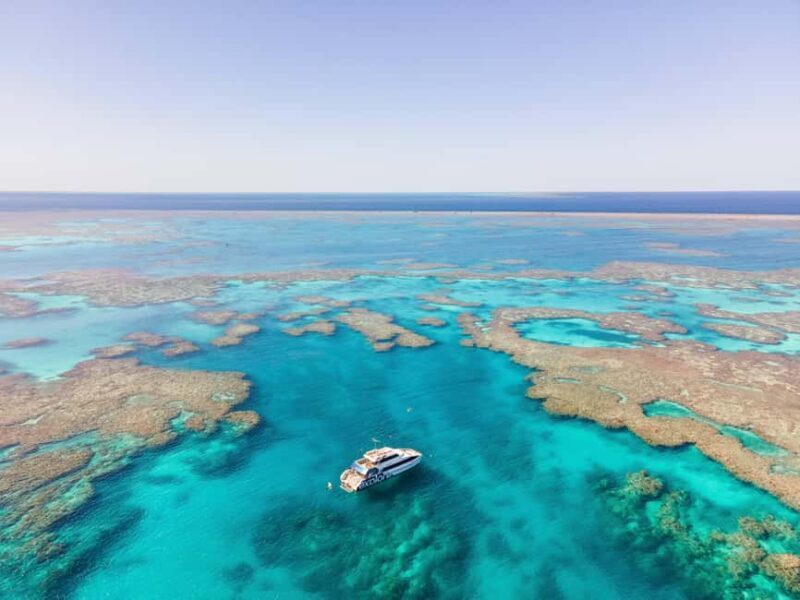 Airlie Beach: Great Barrier Reef Snorkel from Shute Harbour - Introduction