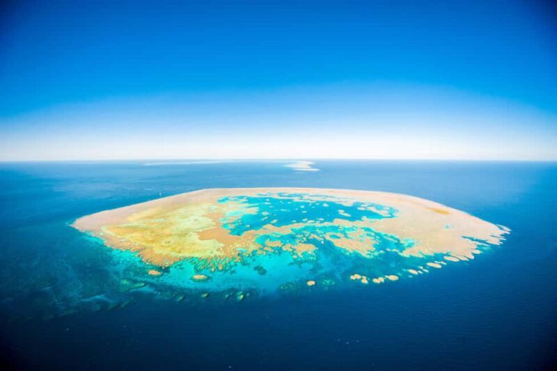 Airlie Beach: Great Barrier Reef Snorkel from Shute Harbour - Who is This Tour Best For?