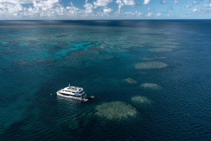 Airlie Beach: Great Barrier Reef Snorkel from Shute Harbour - The Sum Up