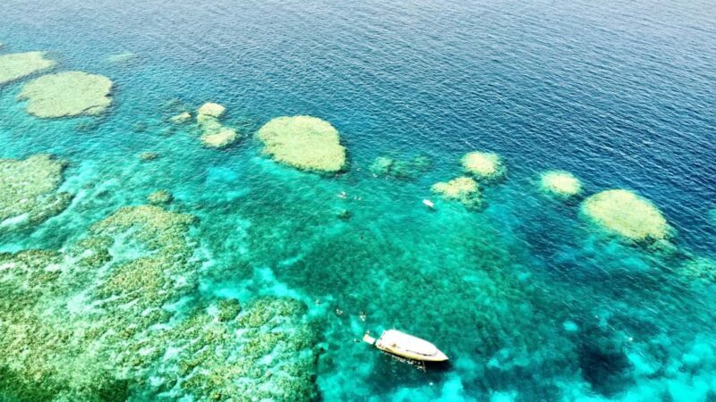 Airlie Beach: Great Barrier Reef & Whitehaven Beach Tour - Key Points