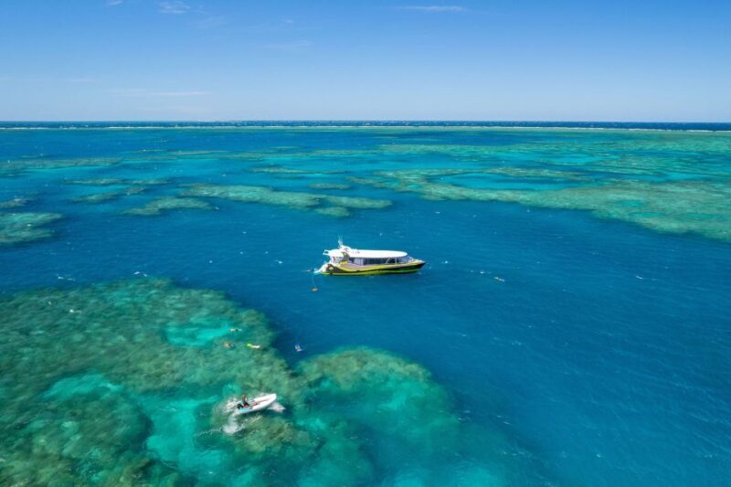 Airlie Beach: Great Barrier Reef & Whitehaven Beach Tour - The Value and Overall Experience