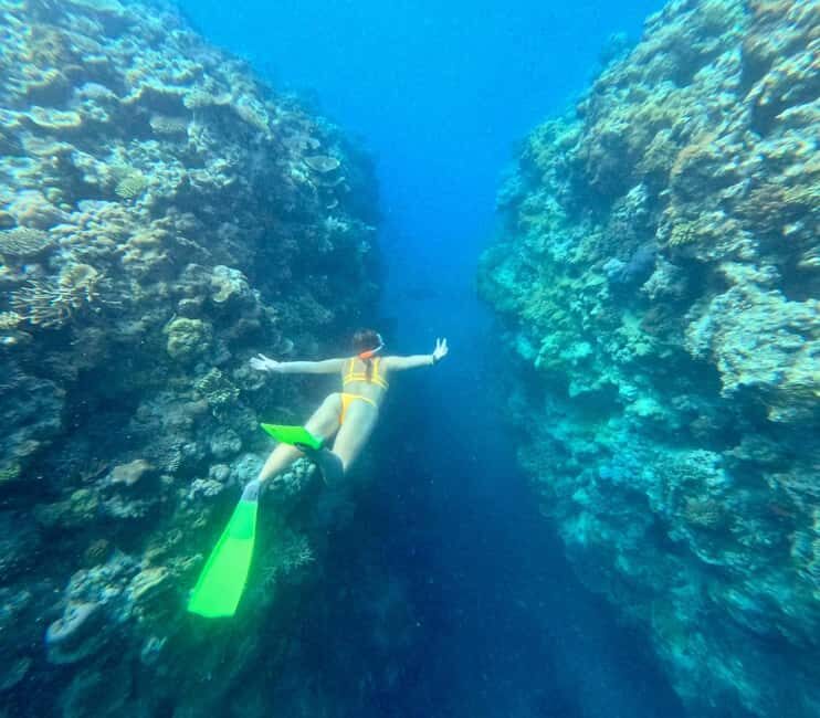 Airlie Beach: Great Barrier Reef & Whitehaven Beach Tour - In-Depth Breakdown of the Itinerary—What Makes Each Stop Special