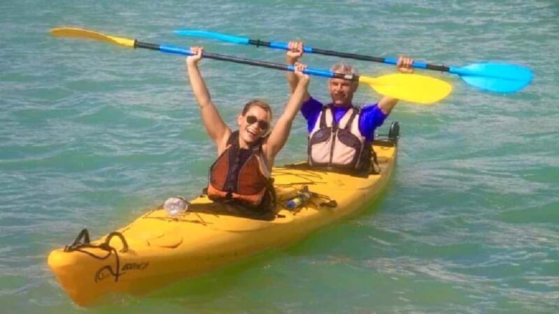 Airlie Beach: Half Day Turtle Tour Sea Kayaking Adventure - Why This Tour Delivers Real Value
