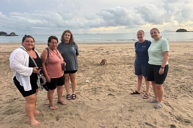 Airlie Beach: Kangaroos on the beach at dawn. - Practical Details for Your Planning