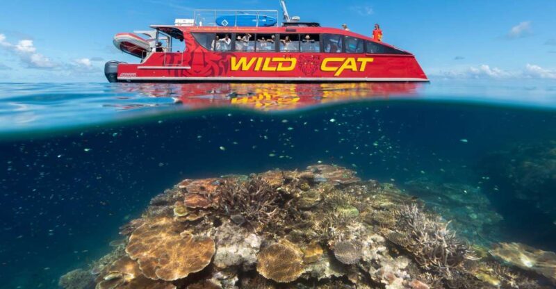Airlie Beach: Outer Great Barrier Reef Snorkeling Day Trip - Key Points
