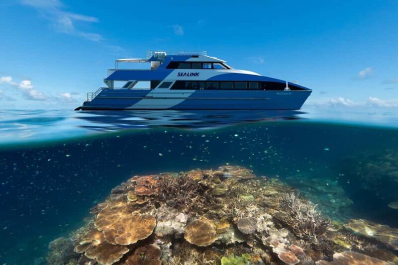 Airlie Beach: Outer Great Barrier Reef Snorkeling Day Trip - A Closer Look at the Tour Experience