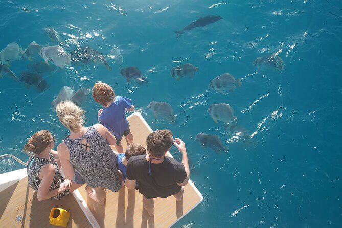 Airlie Beach- Private full day catered & crewed yacht charter - The Private Yacht: Your Floating Sanctuary
