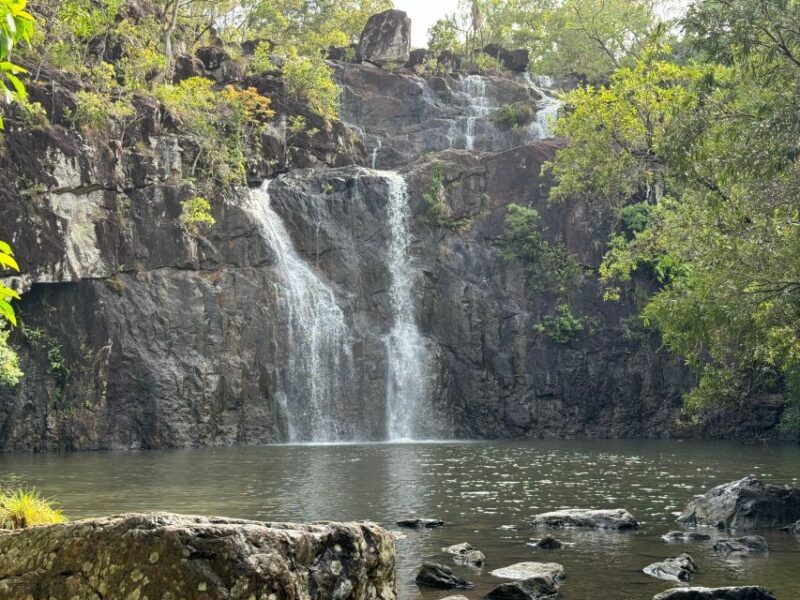 Airlie Beach: Roundtrip Tour to Cedar Creek. - Key Points