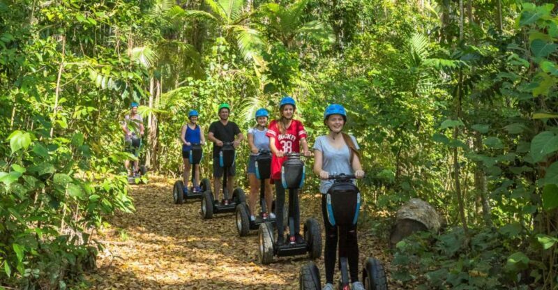 Airlie Beach: Segway Rainforest Discovery Tour - Key Points