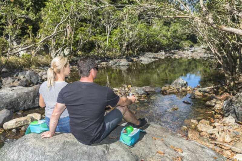 Airlie Beach: Segway Rainforest Discovery Tour - The Experience’s Strengths & Minor Drawbacks