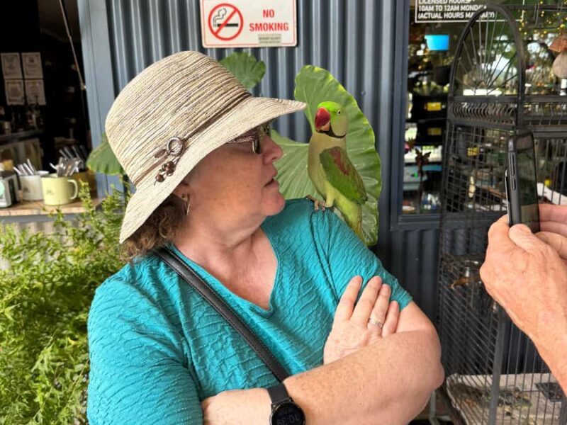 Airlie Beach: Sightseeing Bus Tour - Conway Beach: Quiet Coastal Charm