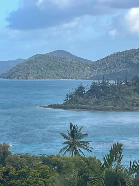 Airlie Beach: The Airlie Hopper Sightseeing Bus - The Sum Up