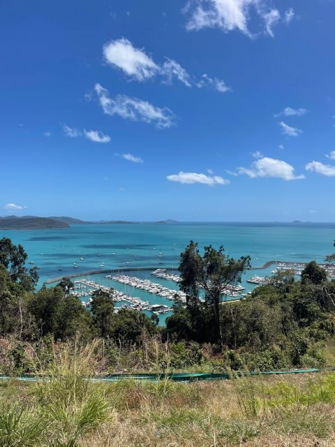 Airlie Beach: The Airlie Hopper Sightseeing Bus - FAQ