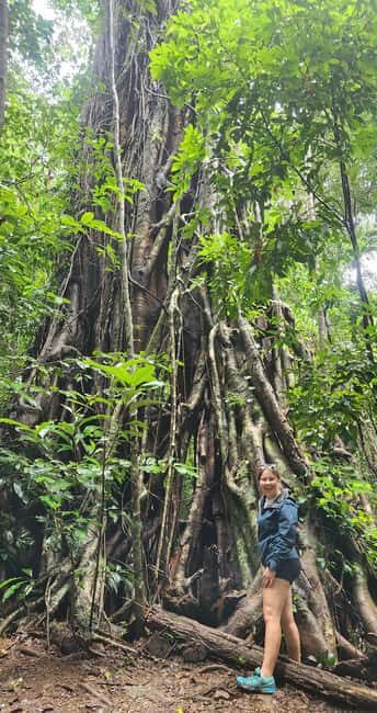 Airlie Beach: Waterfall & Bushwalk Eco Adventure Whitsundays - An In-Depth Look at the Tour Experience