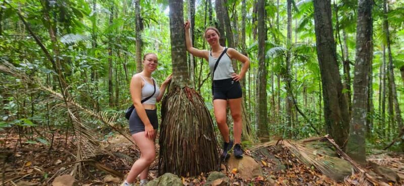 Airlie Beach: Waterfall & Rainforest Bushwalk Eco Adventure - Key Points