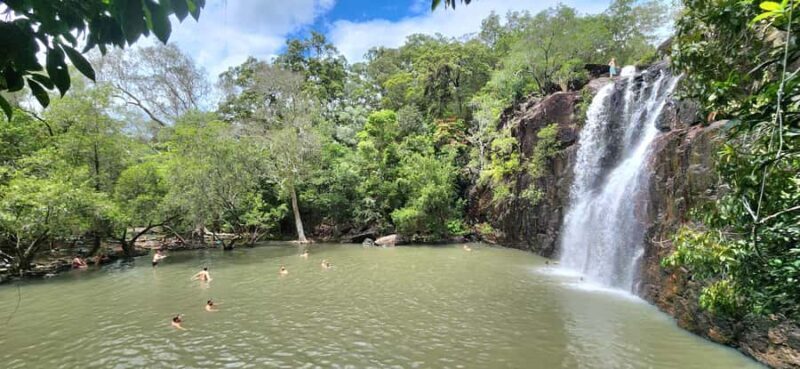 Airlie Beach: Waterfall & Rainforest Bushwalk Eco Adventure - An Introduction to the Experience