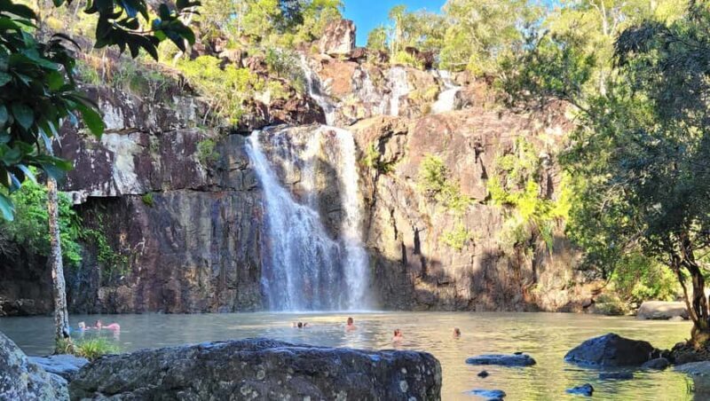 Airlie Beach: Waterfall & Rainforest Bushwalk Eco Adventure - Practical Considerations and Tips