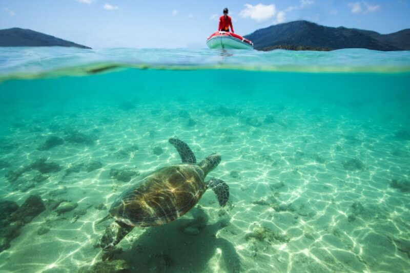 Airlie Beach: Whitehaven Full-Day Eco-Cruise with Buffet - The Journey Begins: Pickup & Boarding