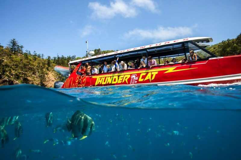Airlie Beach: Whitehaven Full-Day Eco-Cruise with Buffet - Scenic Return & Reflection