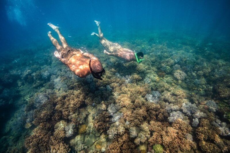 Airlie Beach: Whitehaven Full-Day Eco-Cruise with Buffet - What’s Included & What’s Not